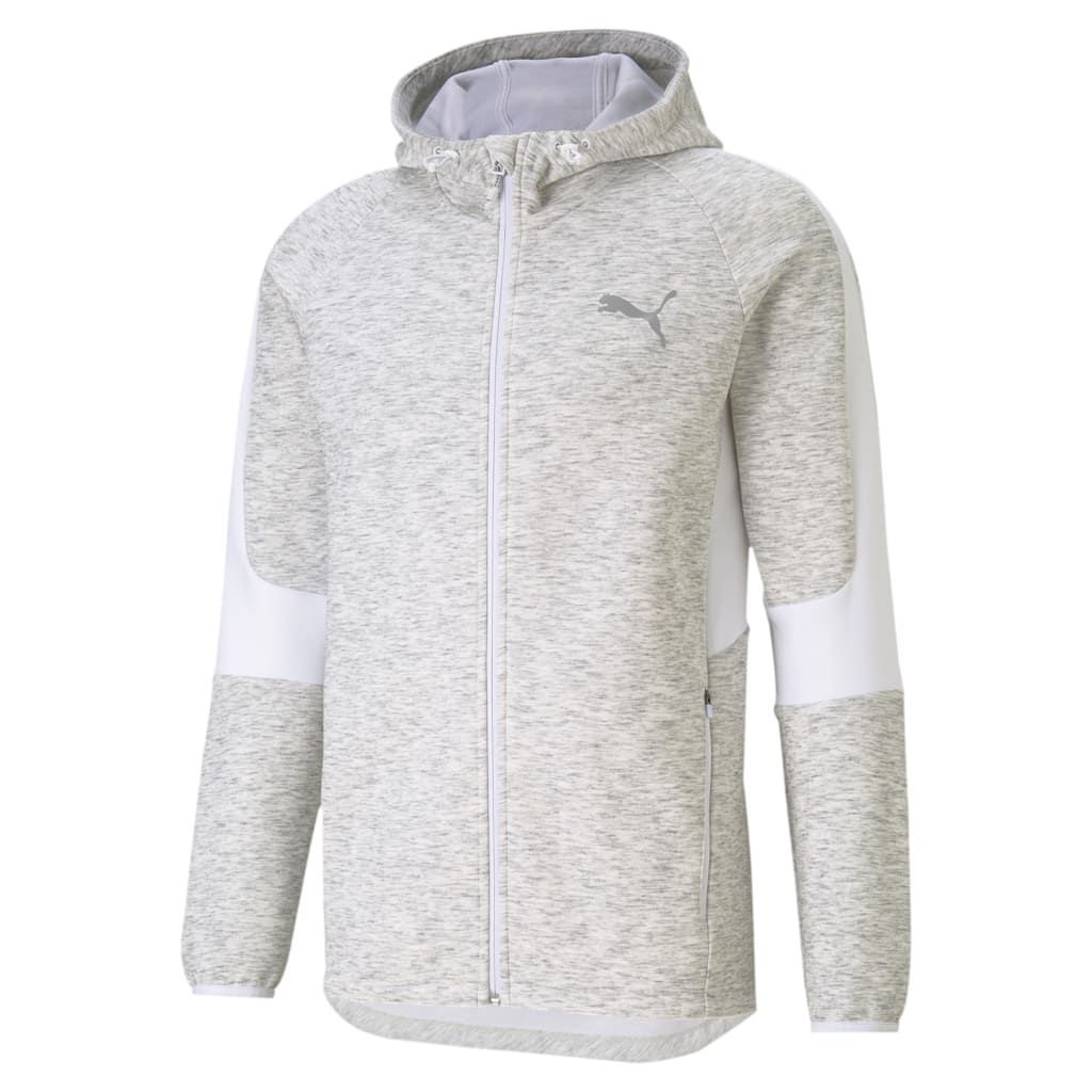 Evostripe Fz Hoodie 585811-02